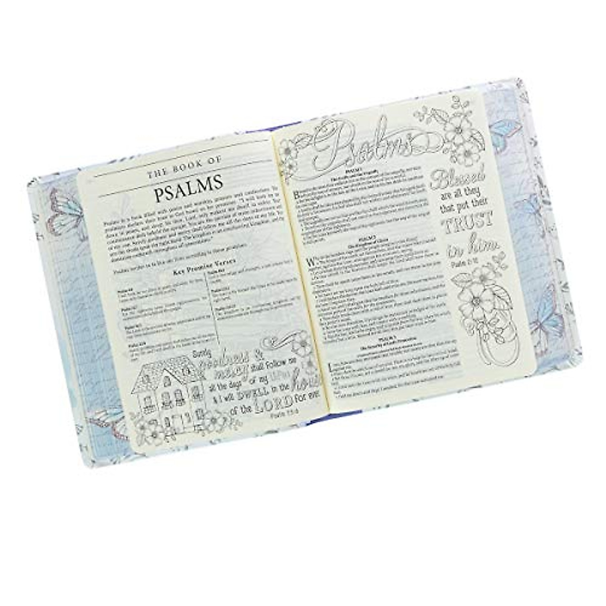 KJV Holy Bible, My Promise Bible, Faux Leather Flexcover w/Bible Tabs, Coloring Stickers, Ribbon Markers, King James Version, Purple Butterfly Floral (KJV Promise Editions)