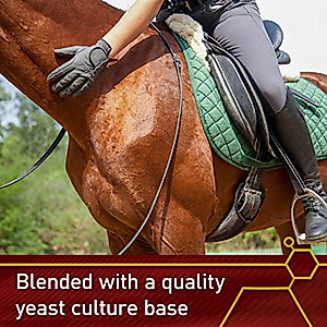 Vita Flex Pro E and Horse Selenium Supplement, Balanced Essential Antioxidants, 20 Pound, 320-Day Supply