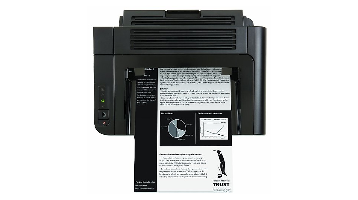 HP LaserJet Pro P1606dn Refurbished Duplex Network Printer