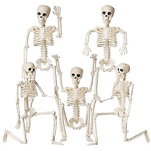 Halloween Skeletons Decorations, 16" Posable Plastic Skeleton 5 Packs, Full Body Skeleton Bulk with Movable Joints, Realistic Spooky Scary Skeletons for Outdoor Indoor Halloween Party Haunted House