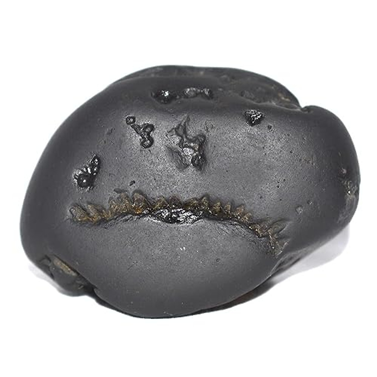 Rudrakshguru Laxmi Narasimha Shaligram - Gandaki River Nepal