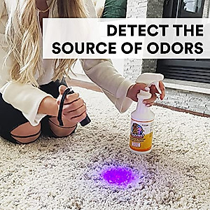 FurryFreshness Extra Strength Cat or Dog Pee Stain & Permanent Odor Remover + Smell Eliminator -Removes Stains From Pets & Kids Including Urine, Blood or Feces- Lift Carpet Stains- (32oz & UV Spotter)