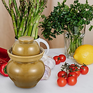 DEPILA 1kg Terracotta Traditional Chinese Fermenting Jar Stoneware Pickles Jar with Water Sealed Airlock Lid Ceramic Food Canister Bottle for Pickling Kimchi Sauerkraut jars