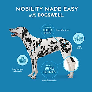 DOGSWELL Hip and Joint Supplement for Dogs - Soft Chews with Glucosamine, Chondroitin, MSM, Boswellia & Turmeric, 1 Pound