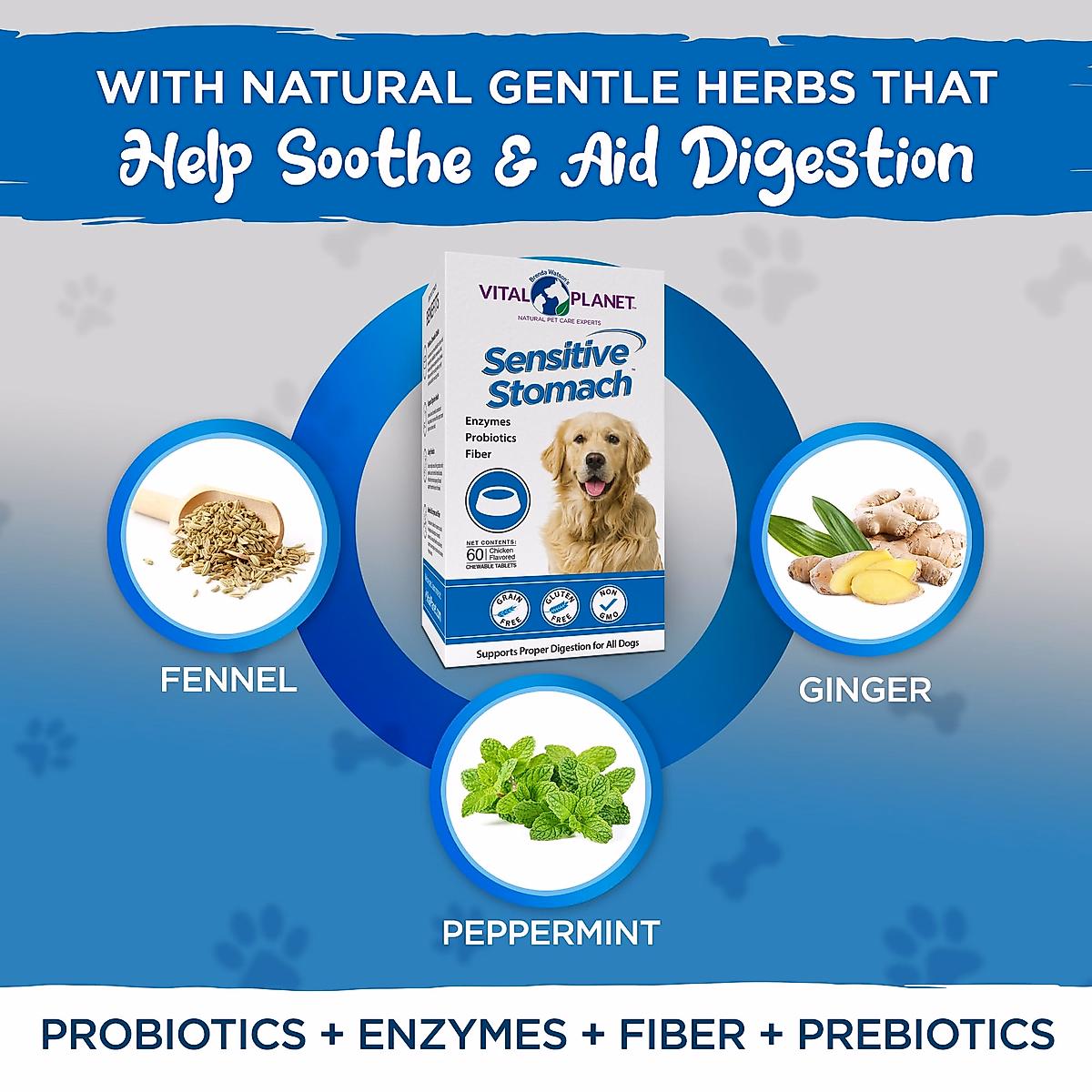 Vital Planet - Sensitive Stomach for Dogs with Enzymes, Probiotics and Fiber, Natural Digestive Support for Upset Stomach with Fennel, and Peppermint, 60 Chicken Flavored Chewable Tablets