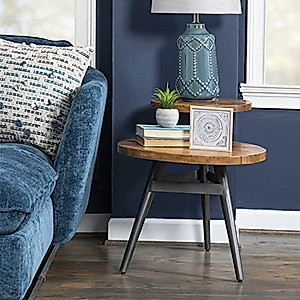 Powell Natural Wood & Gun Metal Grey Stand Bruno, Two Tiered Plant Side Table, Brown and Black