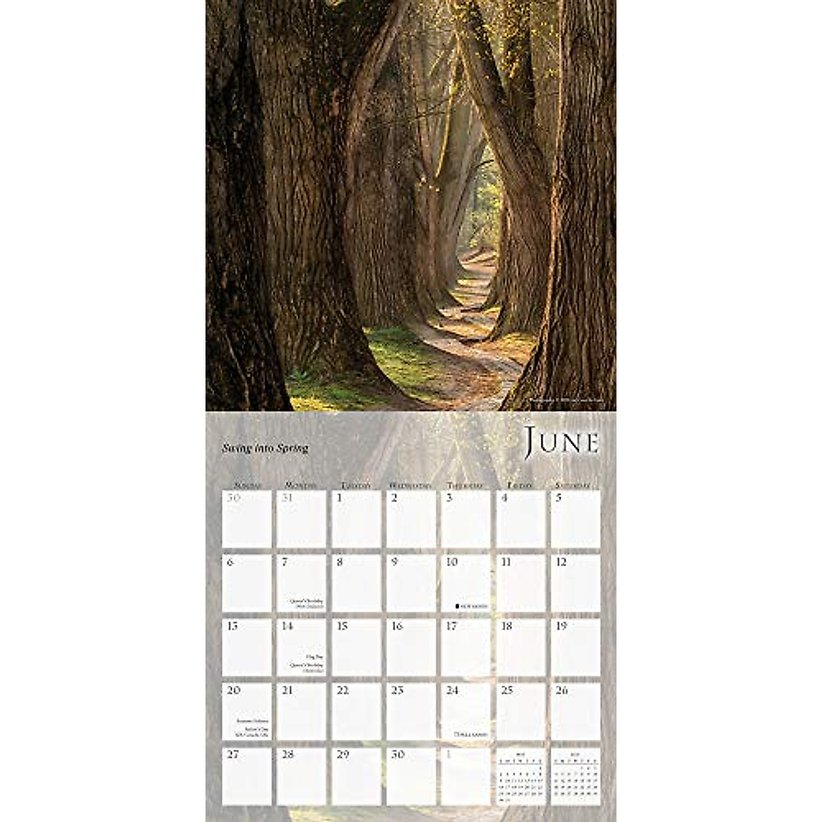 2021 Enchanted Pathways: Photography by Lars van de Goor 16-Month Wall Calendar