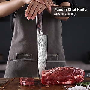 PAUDIN Chef Knife with Sheath- Pro Kitchen Knife 8 Inch Chef's Knives with High Carbon Stainless Steel, Sharp Knife with Ergonomic Handle for Home Kitchen Restaurant