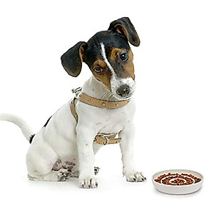 SLSON Cat Slow Feeder Bowl,Ceramic Slow Feed Cat Bowls Heavy and Shallow Wisker Stress-Free Pets Dish for Kittens Small Pets Wet Food,White