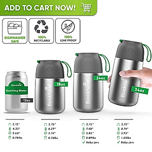 Blockhuette Insulated Food Jar for Adults I 24 oz I with Spork I 14 H hot Food, Stainless Steel Thermos for hot Food, Insulated Lunch Containers, Breakfast Cup, Lunch Boxes Tumbler for food