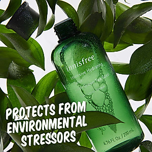 innisfree Green Tea Seed Intensive Hydrating Toner Face Treatment , 6.76 Fl Oz (pack of 1)