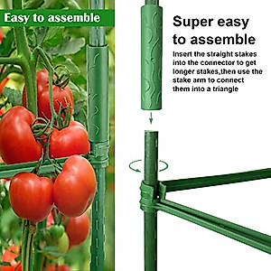 6Ft 3Packs Tomato Cage for Garden Plant Support, Extra High 72Inch Plant Cage Garden Trellis for Climbing Plants Adjust Plant Trellis Tomato Trellis Garden Stakes for Vegetable Fruit Flowers