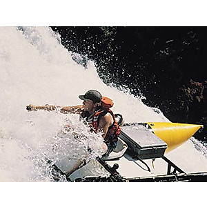 Pelican 1600 Camera Case With Foam (Desert Tan)