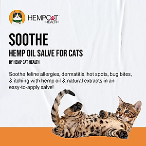 Hemp Dog Health Soothe High-Potency Hemp Salve for Felines: Natural & Effective Cat Skin Allergy Relief | Provides Itch Relief for Cats Suffering from Hot Spots, Bug Bites, and Daily Irritants