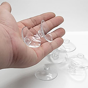 Piutouyar 20PCS 1.6 Inch / 4cm Clear Suction Cups Without Hook Small Clear Plastic Suction Cup for Home Decoration