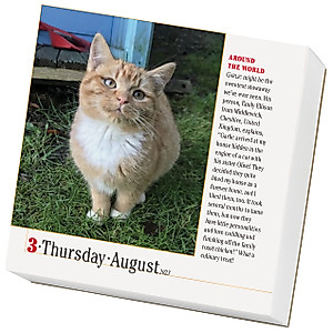 365 Cats Page-A-Day Calendar 2023: The World's Favorite Cat Calendar