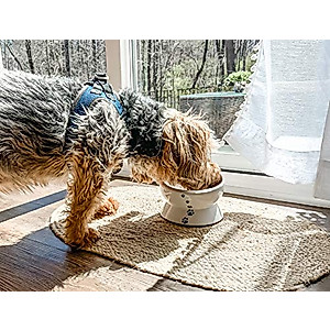 Y YHY Elevated Cat Food Bowl, Raised Pet Food and Water Bowl, Cat and Small Dog Bowl, Tilted Ceramic Cat Water Bowl No Spill,15oz, Dishwasher Safe