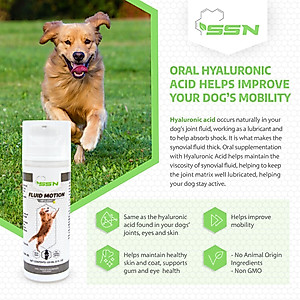 SSN Fluid Motion - Hyaluronic Acid for Dogs 30-60+ Day Supply - Liquid Joint Supplement for Senior Dogs - Apple Flavor - Hip & Joint Support, Mobility, and Comfort - Glucosamine Alternative (150ml)