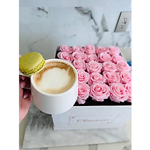 White Classic simple modern mugs Solid Matte Coffee cups matte white capacity 12 oz durable Set of 4