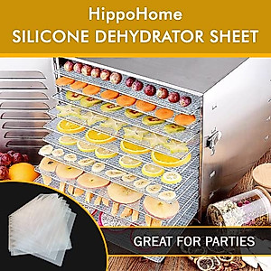 HippoHome Pack of 10 Silicone Dehydrator Sheets, Food Grade Silicone Coated Sheets, Square & 14X14 inches, Can Be Cut into Different Shapes & Sizes (10Pcs per Pack)