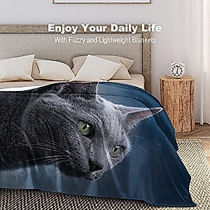 Fleece Blanket Plush,Blue Russian Cat Feline Animal Tail Whiskers Beautiful Carnivore Charming Claw,Microfiber Fuzzy Soft Cozy Flannel Throw Blankets for Couch, ?Bed, Sofa, Camping, Travel