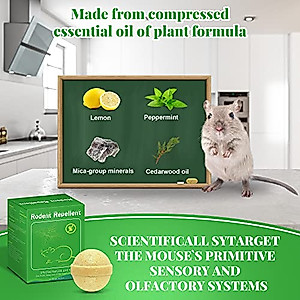 24 Pack Natural Mouse Repellent Peppermint Oil to Repel Mice and Rats, Rodent Repellent for Outdoor Indoor Car Engine RV Home Kitchen, Keep Moles & Voles Out of Lawn and Garden, Pet Safe