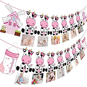 Cow First Birthday Party Decoration for Girls Pink Cow Theme 1st Birthday Photo Banner for Newborn to 12 Months for Baby Girls Farm Theme 1st Birthday Party Supplies