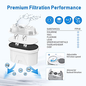 FRIZZLIFE FPT01 Replacement Water Filter Cartridge Set for FP40 Water Filter Pitcher, For T900 & TF900 Instant Hot Water Dispenser Filter Systems (2 Pack)