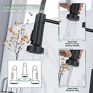 WEWE Kitchen Faucets with Pull Down Sprayer Commercial Industrial Stainless Steel Single Handle Single Hole Spring with WEWE Black Glass Rinser