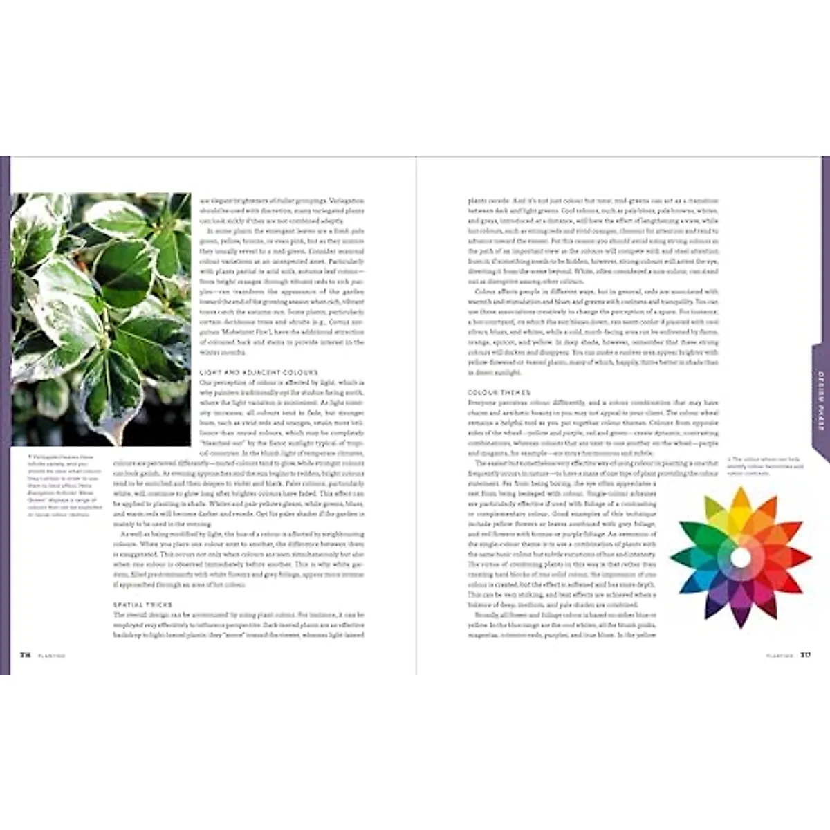 The Essential Garden Design Workbook: Completely Revised and Expanded