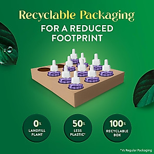 Air Wick Plug in Scented Oil Refill, 10ct, Lavender & Chamomile, Air Freshener, Essential Oils, Eco Friendly