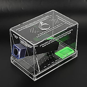 Luroze Cricket Care Kit, Easy to Cricket Keeper Tank Box High Transparency Acrylic Material for Home for Office(S)