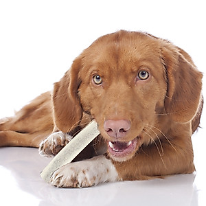 Downtown Pet Supply - Elk Antlers for Dogs - Premium Dog Bones Rich in Calcium, Phosphorus, Vitamins & Minerals - Dog Dental Treats & Natural Dog Chews - Split - 7-10in - Jumbo Thick