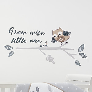 Bedtime Originals Little Rascals Grow Wise One Owl Wall Appliques, Gray/White
