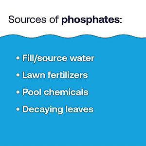 HTH 67069 Swimming Pool Care Phosphate Remover - Clears Cloudy Water and Prevents Algae Growth