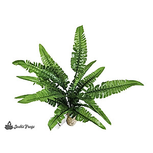Josh's Frogs Tropical Artificial Reptile and Amphibian Plants (Fern)