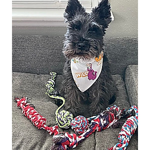 Pacific Pups Products for Dogs - Dog Toys for Aggressive Chewers, 11 Heavy Duty Dog Chew Toys for Aggressive Chewers, Cotton Puppy Chew Toys for Teething, Dogs Toys, Benefits Non-Profit Dog Rescue