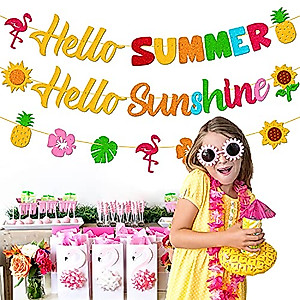Hello Summer Hello Sunshine Banner for Summer Hawaiian Tropical Flamingo Pineapple Sunflower Beach Theme Holiday Happy Birthday Wedding Bachelorette Engagement Bridal Shower Party Supplies Glitter Decorations