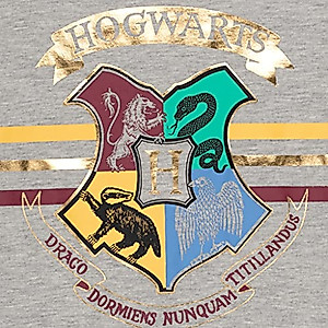 Harry Potter Hogwarts Big Girls Ruffle T-Shirt Legging Set 18-20 Pink/Gray