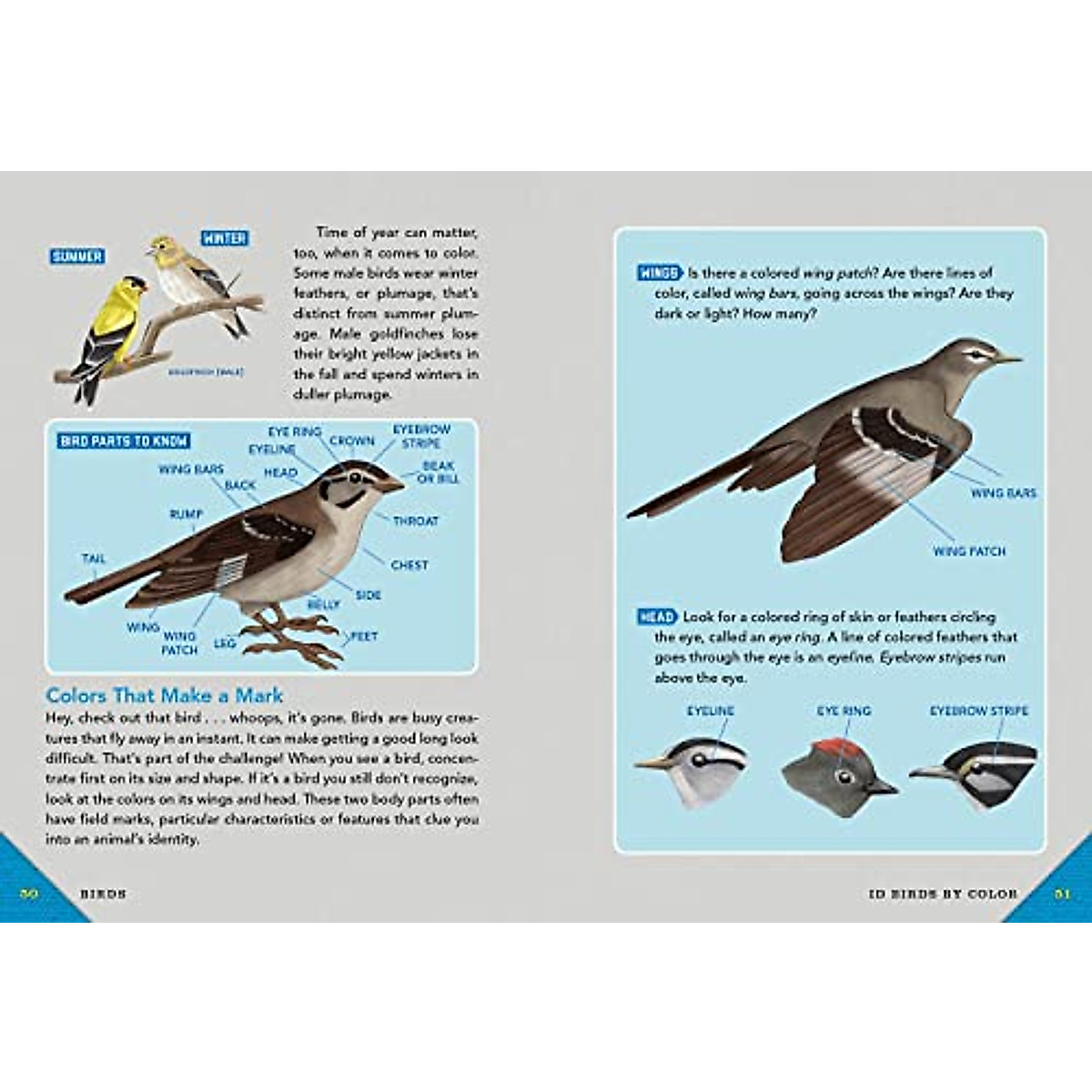 Outdoor School: Animal Watching: The Definitive Interactive Nature Guide