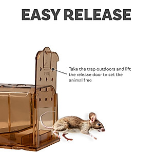 Sunnydaze Humane Mouse Trap - Indoor for Home - Outdoor Mouse Traps - Child and Pet Safe - Reusable - 2-Pack