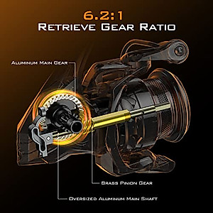 KastKing Kestrel Spinning and Ice Fishing Reel 1000 SFS Carbon Body, Lightweight and Weighs 4.6 Oz, Full Carbon Fiber Frame, 10+1 Stainless-Steel Double Shielded Ball Bearings, 6.2:1 Gear Ratio