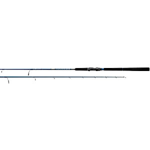 Fishing Rod Jigging Series Sections 1 Line Wt. 50-80 Braid