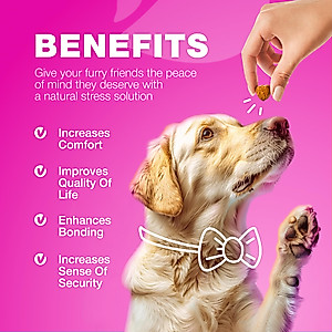 Dog UTI Treatment - Dog Cranberry Supplement for Bladder & Kidney Health, Urinary Tract, Incontinence Support - Cranberry Supplement for Dog Incontinence - Bladder Control Cranberry Chews