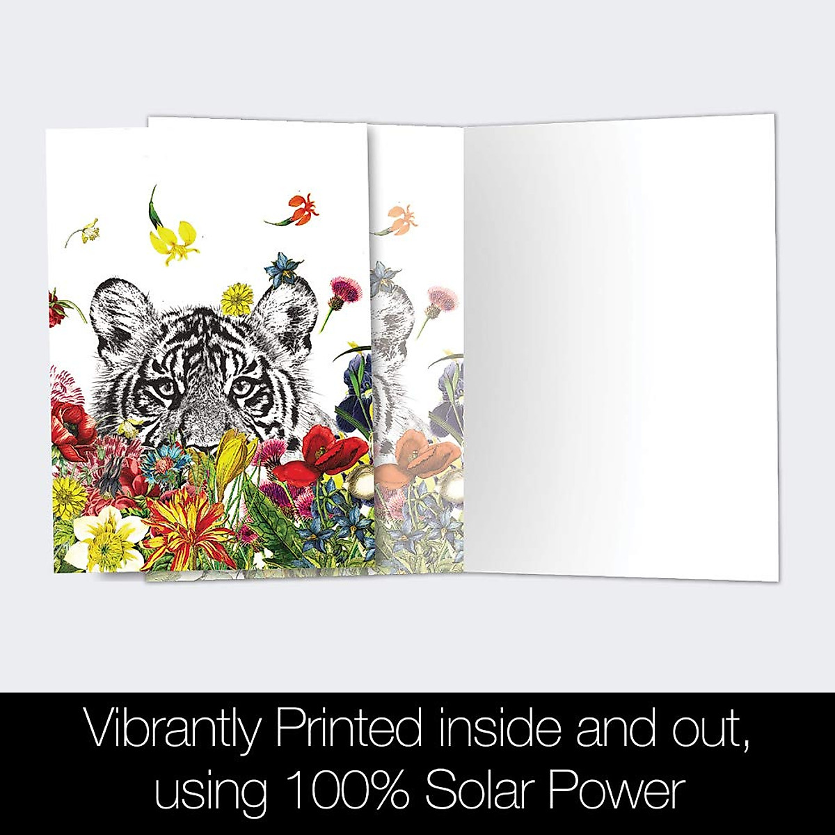 Tree-Free Greetings 12 Pack All Occasion Notecards,Eco Friendly,Made in USA,100% Recycled Paper, 4"x6", White Tiger Flowers (FS56930)
