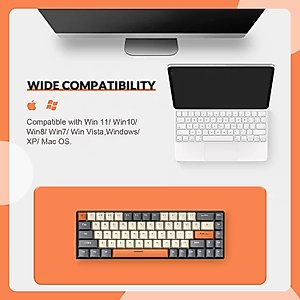ZIYOU LANG RK-T8 Wired 65% Mechanical Gaming Keyboard with RGB LED Backlit Anti-ghosting TKL Mini 68 Key Custom Coiled C to A Cable Tactile Blue Switch for PS4 PS5 Xbox PC Mac Gamer(Dark Gray/White)