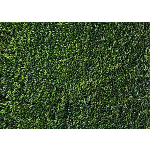 HQM 3D Green Leaves Nature Spring Theme Photo Background 8x6ft Fabric Wedding Birthday Party Newborn Baby Shower Photography Backdrops Zoo Decor Banner Dessert Cake Table Decor Booth