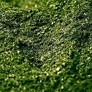 Concentrates Inc Organic Alfalfa Meal Fertilizer 2.5-0-2.5, 5 lb