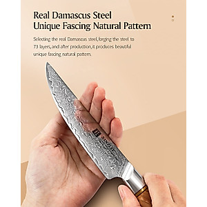 XINZUO Steak Knife Set of 4, Damascus Powder Steel Kitchen Steak Knife Set, Non Serrated Steak Knives, Razor-Sharp Dinner knives with Gift Box, Kitchen Table Knife with Olive Wood Handle-Lan Series