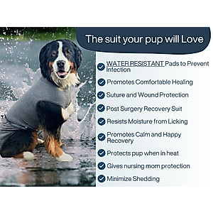 Dog Recovery Suit After Surgery - for Spay Neuter - with Washable Pads - Dog Onesie (Grey Medium)